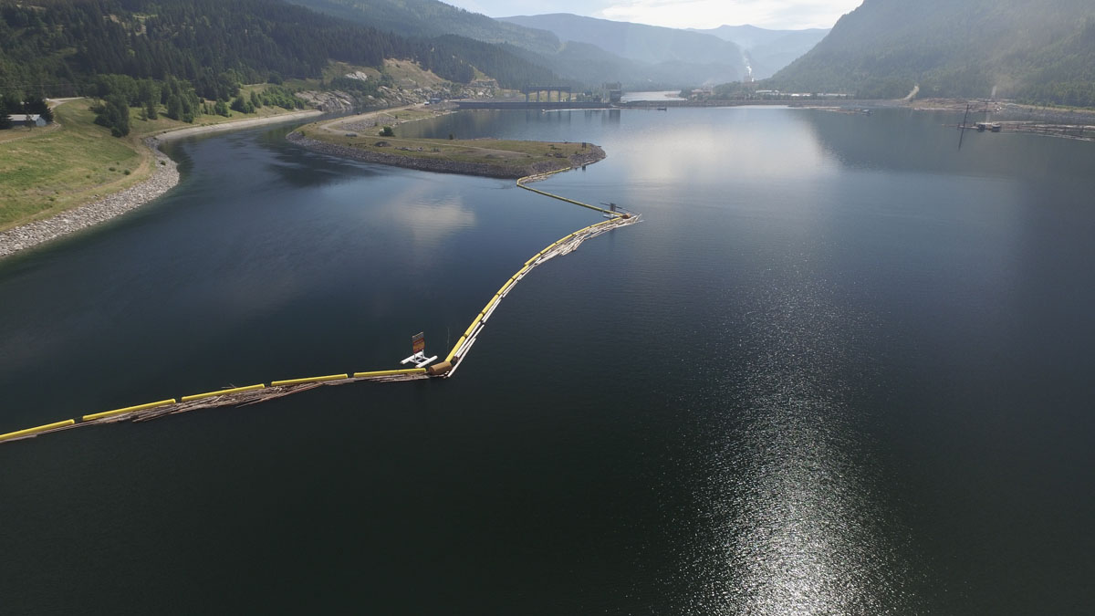 Debris Booms In Arrow Lake | Geniglace